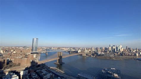 New York Citys Environmental Progress Of The East River Amid Dolphin