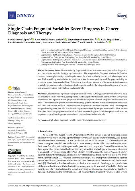 Pdf Single Chain Fragment Variable Recent Progress In Cancer