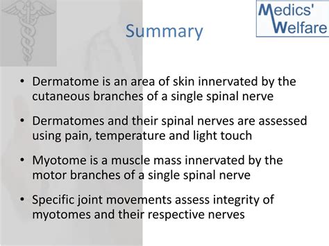 Ppt Session 5 Dermatomes And Myotomes Forearm And Hand Powerpoint