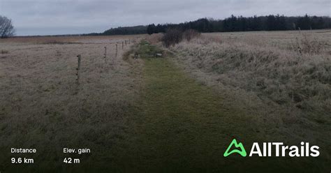 Pil Tusind Tunge Egholm 72 Fotos Noord Jutland Denemarken Wandelen Alltrails