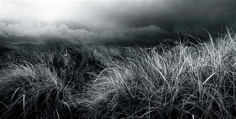 [100 ] Black And White Nature Wallpapers