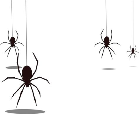 Spider Hang Images Free Download On Freepik