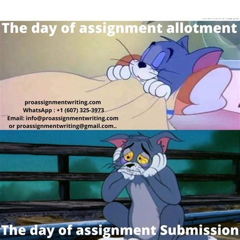 Assignment Help Student Problems College Memes Student Memes