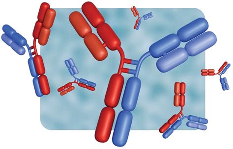 Bsabs Cancer Treatment Toxicities