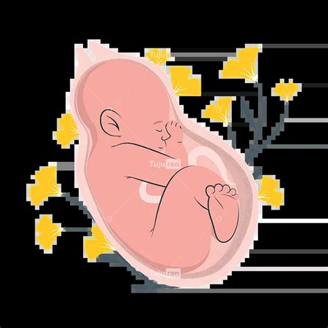 婴儿出生插画海报素材模板下载 图巨人