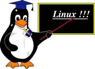 Curso de Shell Script Comandos Básicos do Linux