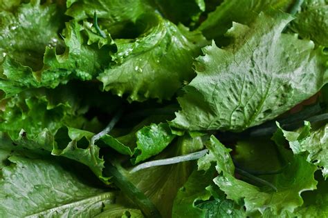 A List Of 10 Dark Green Leafy Vegetables List Of Foods