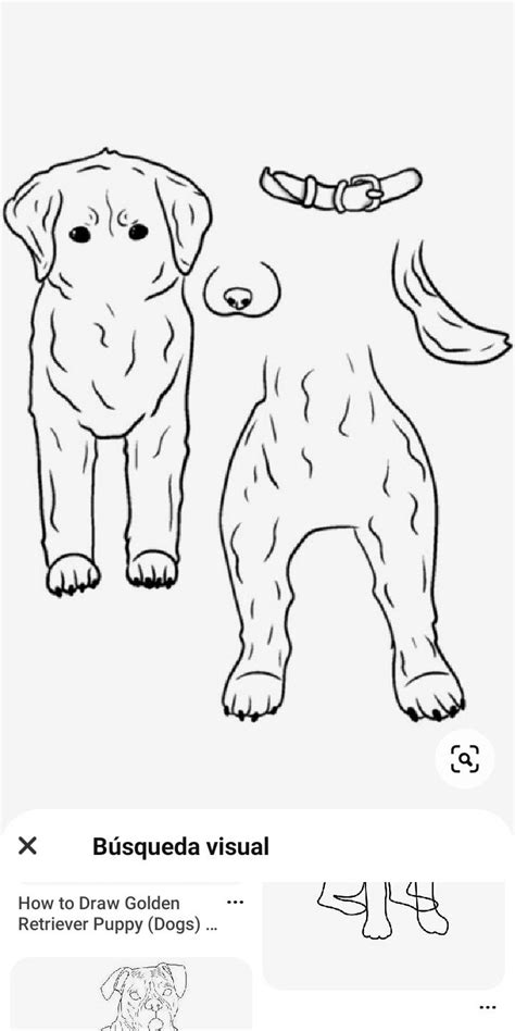 Pin De Meagan Waldrep En Collyns Diy Perro De Papel Animales De