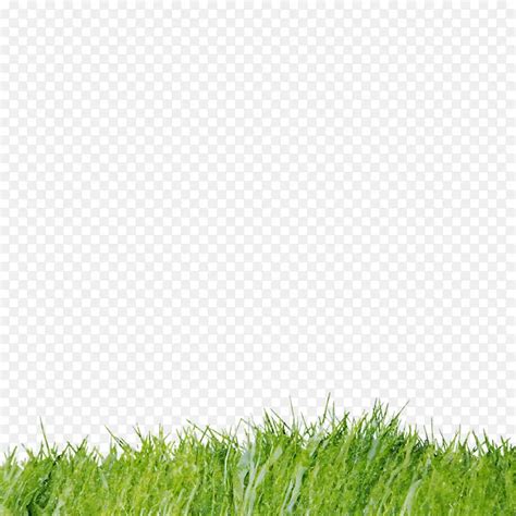 卡通手绘草丛png图片素材下载图片编号yglbkpwe 免抠素材网