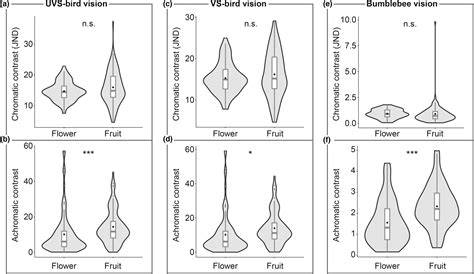 Red Fruits Exhibit Lower Colour Diversity Than Red Flowers As Perceived