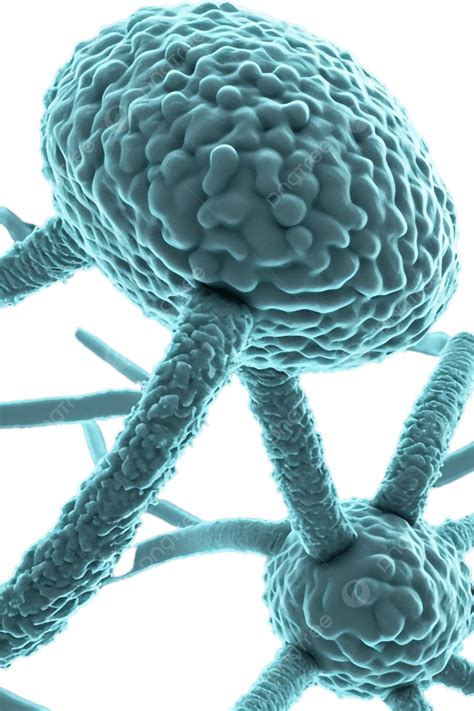 Microscopic Image Of A Virus3 Microscopic Germs Microscopic Image Of