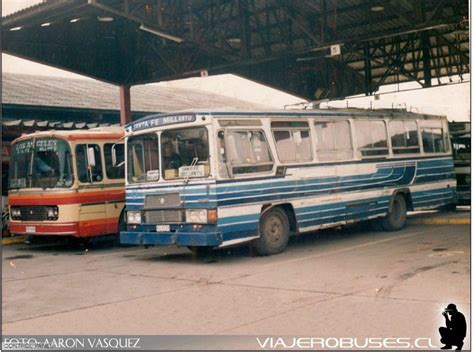 Buses Octava