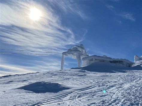 Maria Veleva On Linkedin Health Research Selfcare 11 Comments