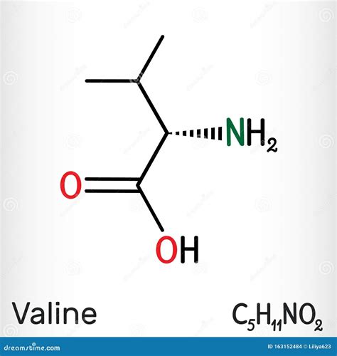 Molecule Of Valine Val An Amino Acid Used In The Biosynthesis Of