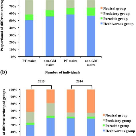 Maize Plot Layout Note The Plots Of Pt Maize And Non Gm Maize Were Download Scientific