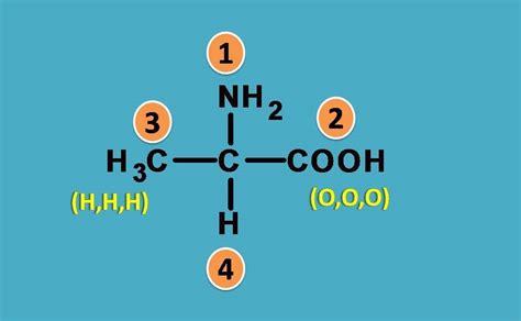Sequence Rules For Ranking Groups