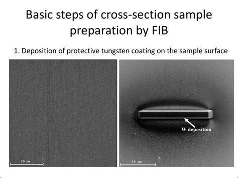 Cross Section Sample Preparation Using Focused Ion Beam System Fib