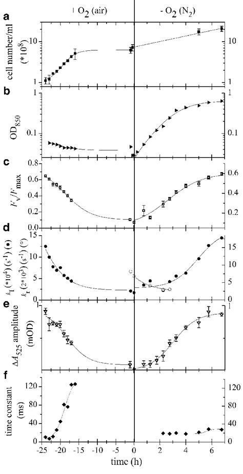 Time Dependent Structural And Functional Characteristics Of Download Scientific Diagram