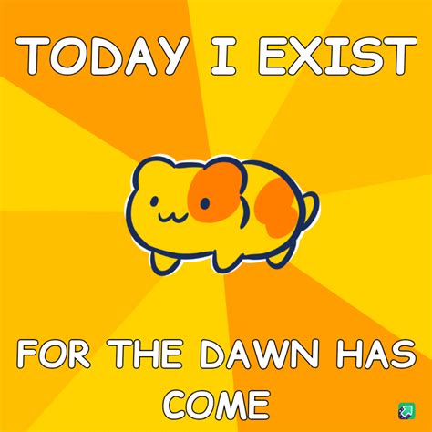 Hampter Album On Imgur