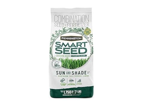 The 6 Best Southern Grass Seed Of 2025 Reviews Findthisbest