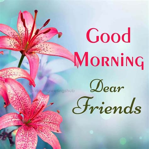 Good Morning Friends Photos
