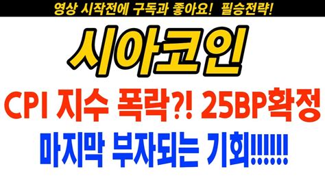 시아코인 코인전망 비트코인 이더리움 도지코인 시바이누 앞으로의전망 저스틴 선 챗gpt블록체인 저장공간 메타버스nft 코인의