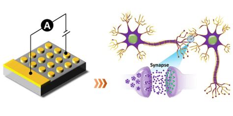 interface type memristive device pushes neuromorphic computing onward
