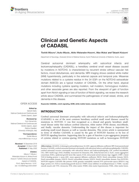 Pdf Clinical And Genetic Aspects Of Cadasil
