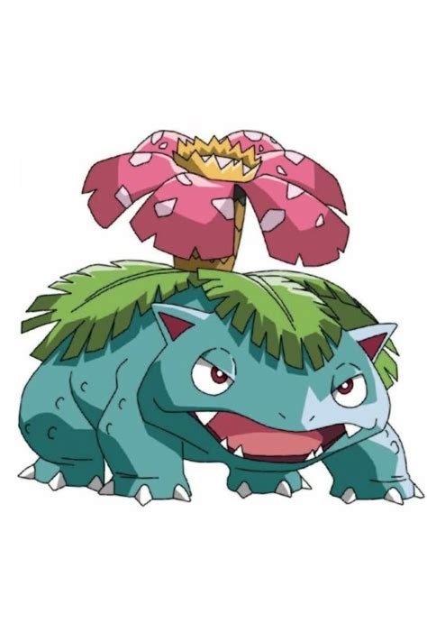 Venusaur Pokemon Venusaur 151 Pokemon Pokemon Sketch