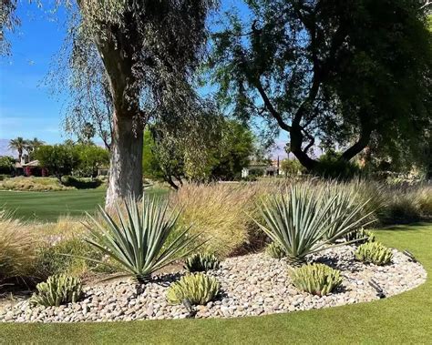 20 Inspiring Desert Landscape Ideas To Transform Your Outdoor Space