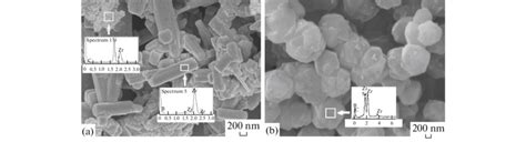 Microstructure Of Zrb 2 Sic Composite Powders Prepared By A Download Scientific Diagram