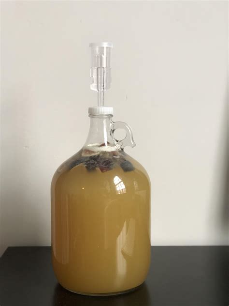 First Batch Post Added A Small Amount Of Fig And Cinnamon Fermentation Is Super Cool Rmead