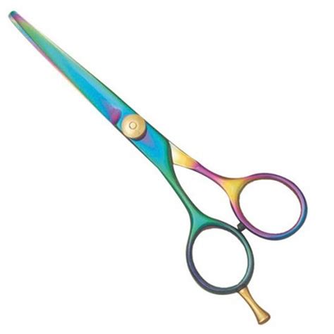 Rainbow Titanium Coated Scissors Butoxy International Beauty