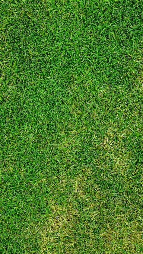 Bright Green Grass Texture
