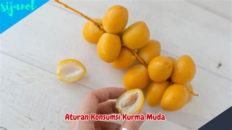 Kaya Akan Nutrisi Ini 6 Manfaat Kurma Muda Untuk Kesehatan Yang Wajib Diketahui