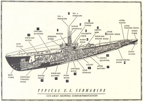 Spectrum Vs Binary A Discussion On Conflict With Ideas And Not Sex