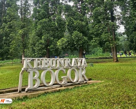 Kebun Raya Bogor Wisata Edukasi Keluarga Tiket Lokasi Spot