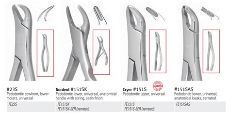 Extraction Forceps Names And Uses At Christopher Romero Blog