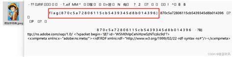 简单讲述几种查找图片中隐藏flag的方法 灰信网（软件开发博客聚合）