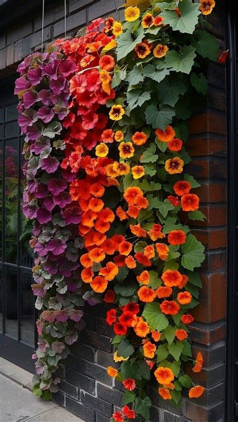 Hydrangea Flower Bed Designs