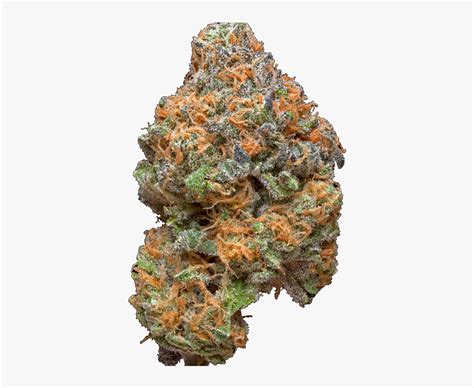 Weed Nug Png 57 Koleksi Gambar