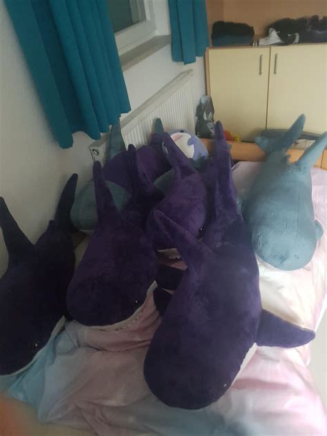 How Does One Cuddle All Of These At Once Rblahaj