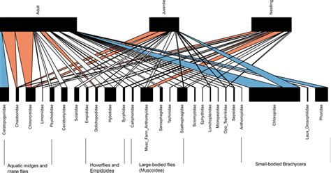 Bipartite Food Web Plot Illustrating The Trophic Interactions And Download Scientific Diagram