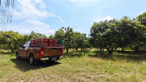 Piniya พินิยา พินิยา เราขอแสดงความเสียใจอย่างหาที่สุดมิได้ กับ