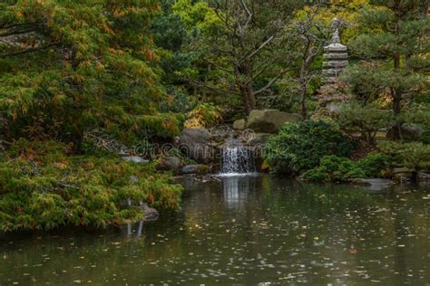 Beautiful Reflective Pool In The Garden Stock Image Image Of Water