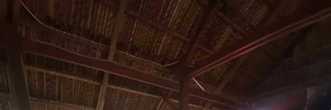 Cu Chi Tunnels Through The Eyes Of A War Veteran Half Day Tour Klook India