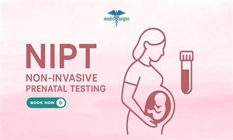 Non Invasive Prenatal Testing Nipt Advanced Prenatal Service