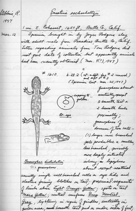 Stebbins 03121947 Field Journal Book Projects Nature Journal