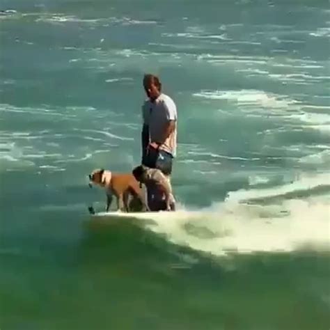 Prashant Salve Posted On Linkedin