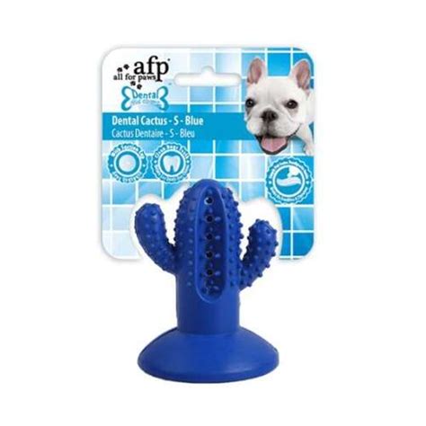 קקטוס צעצוע דנטלי Afp קטן Ksp